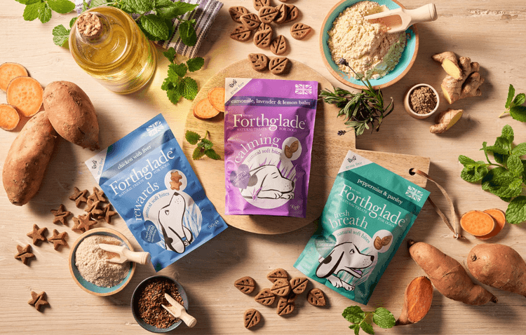 Our Work – Springfield Solutions